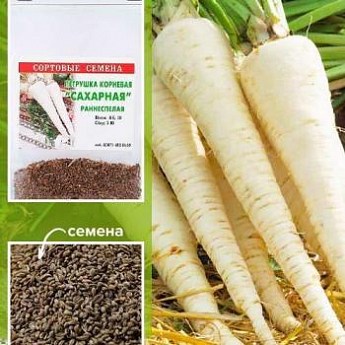 Петрушка коренева "Цукрова" (Зипер) ТМ "Весна" 5г купити поштою в Одесі ...