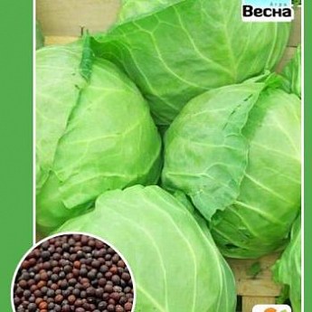 Капуста "Раннеспелая" ТМ "Весна" 0.5г купить почтой в Одессе, Киеве ...